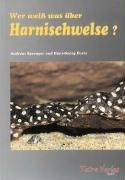 Wer weiß was über Harnischwelse?: Sprenger, Andreas, Evers, Hans-Georg: 9783897451810: Amazon ...