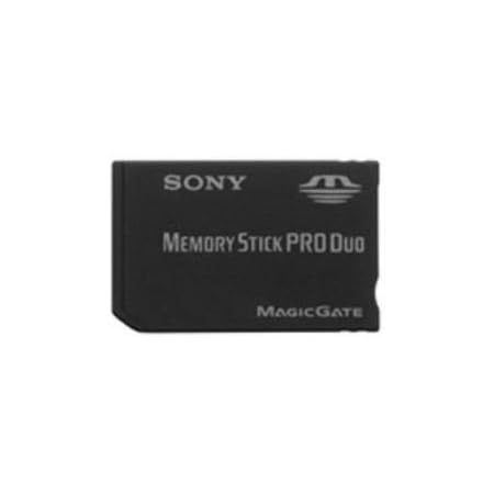 Amazon.com: Sony - Flash memory card - 1 GB - MS PRO DUO : Electronics