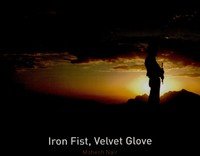 Amazon.in: Buy Iron Fist, Velvet Glove Book Online at Low Prices in ...