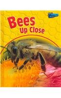 Bees Up Close (Perspectives): Birch, Robin: 9781410911384: Amazon.com ...