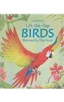 Amazon.com: Birds (Luxury Lift The Flap Learners): 9780794507145: Khan ...