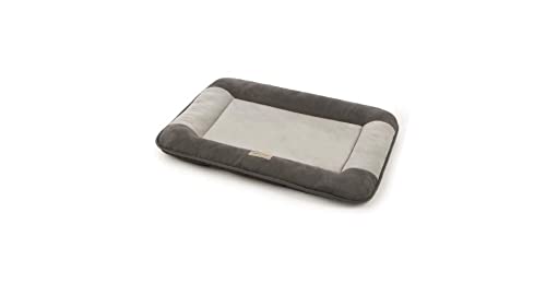 Top 10 Pooch-Approved Dog Beds: A Comprehensive Buying Guide - Furry Folly