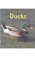 Ducks (First Step Nonfiction): Mitchell, Melanie: 9780822546030: Amazon ...