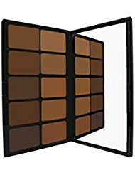Amazon.com : Cream Foundation Palette by Sacha Cosmetics, Best Pro ...
