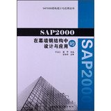 SAP2000 Structural Design and Application Series : SAP2000 in curtain ...