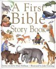 A First Bible Story Book: Dorling Kindersley: 9780842336550: Amazon.com ...