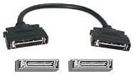 Amazon.com: 3ft Matrix2 Daisy Chain Cable SCSI 50m/scsi 50m : Electronics