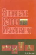 Sugarcane Ratoon Management: Amazon.co.uk: Verma, R.S.: 9788185860831 ...
