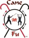 Cane-Fu Basic Self-Defense and Exercise Manual: Cane Masters: Amazon ...