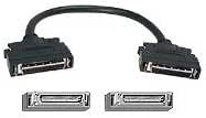 Amazon.com: 1ft Matrix2 Daisy Chain Cable SCSI 50m/scsi 50m : Electronics