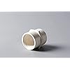 Amazon.com: Rainbow Dream 1 Inch PVC Female Adapter Pipe Fitting ...