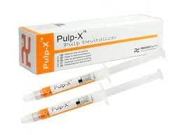 Prevest Pulp X - (3gm syringe) Dental Pulp Devitalization Paste ...