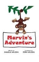 Marvin's Adventure: Wilson, Angela, Wilson, John: 9781634480017: Amazon ...