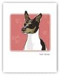 Amazon.com : Paper Russells Grrreen Boxed 6 Note Cards - Rat Terrier ...