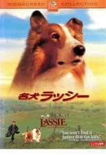 Amazon.co.jp: Lussie Rental Fallen Used DVD : Toys & Games