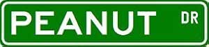 Amazon.com: PEANUT Street Sign - 8.25" X 2.0" - Sticker Graphic - Auto ...