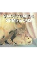 Gatos Y Gatitos/Kittens & Cats (Spanish Edition): Equipo Editorial ...