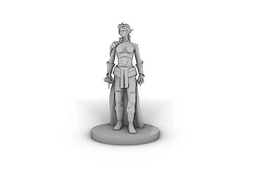 Amazon.com: Elf Female Princess Rogue Tabletop DND Gaming Miniature ...