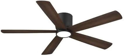 Amazon.com: Home Decorators Collection Britton 52 in. Integrated LED ...