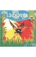 Ladybugs (Insects): Meister, Cari: 9781577654636: Amazon.com: Books