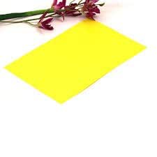 Eclet 40 Sheets Lemon Yellow Paper for DIY Arts and Cards Making, Heavy ...