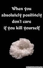 Poster #211 Meth, Drug Use Prevention Message Posters : Amazon.in: Home ...