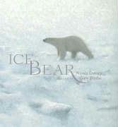 Ice Bear: Nicola Davies, Gary Blythe: 9781844287314: Amazon.com: Books