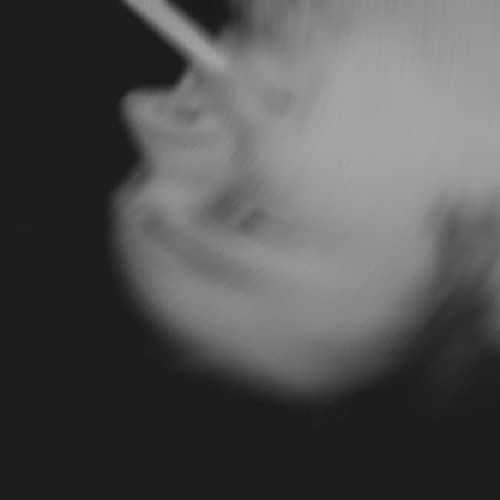 Nate Gibson Tries To Buy a Tiger in Texas de Groundbreaker en Amazon ...