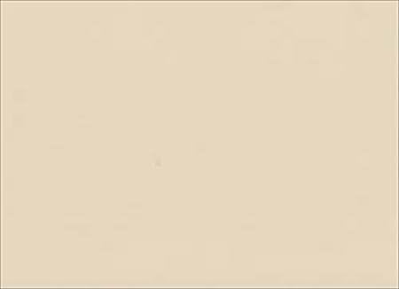 Amazon.com: One Shot Sign Lettering Paint - Ivory - 8oz Can