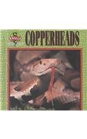 Copperheads (Fangs!): Ethan, Eric: 9780836814293: Amazon.com: Books