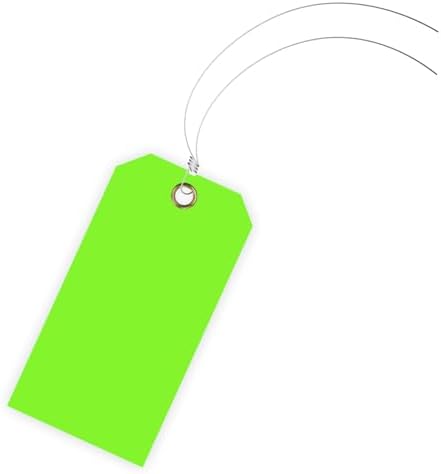 Amazon.com : Tags 4 Less 15 Mil Blank Plastic Hang Tags with Attached ...