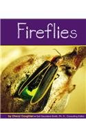 Fireflies (Pebble Books): Coughlan, Cheryl, Saunders-Smith, Gail ...