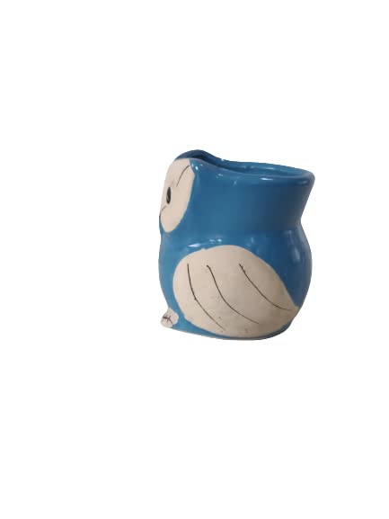 Nested Greens - Big OWL Eye Ceramic Indoor 7" x 6" Inch| Indoor Plant ...