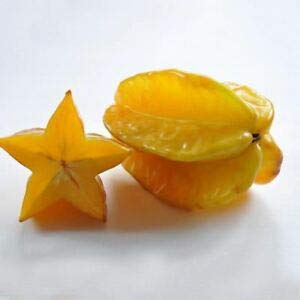 Creative Farmer Live Plant Star Fruit Chathura Puli Tropical Exotic All ...