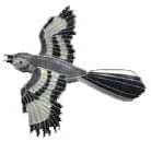 Amazon.com: Mockingbird Bird Silver & Enamel Pin: Jewelry Pins ...