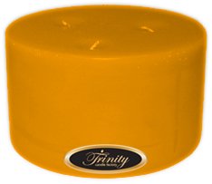 Trinity Candle Factory -Jasmine - Pillar Candle - 6x3 : Amazon.in: Home ...