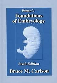 Patten's Foundations of Embryology: Carlson, Bruce M.: 9780071140935 ...