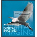 The Complete Guide to Digital Imaging: Lacey, Joel: 9788230077900 ...