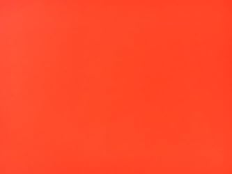 Amazon.com : Full Page Fluorescent Neon Red Labels - 100 Sheets ...