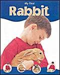 My First Rabbit (My First): Veronica Ross: 9781841384023: Amazon.com: Books