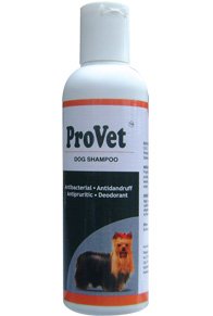 Buy ProVet Dog Shampoo, 100 ml Online at Low Prices in India - Amazon.in