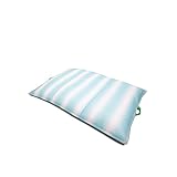 Big Joe Wavy Starfish Pool Float | The Green Head