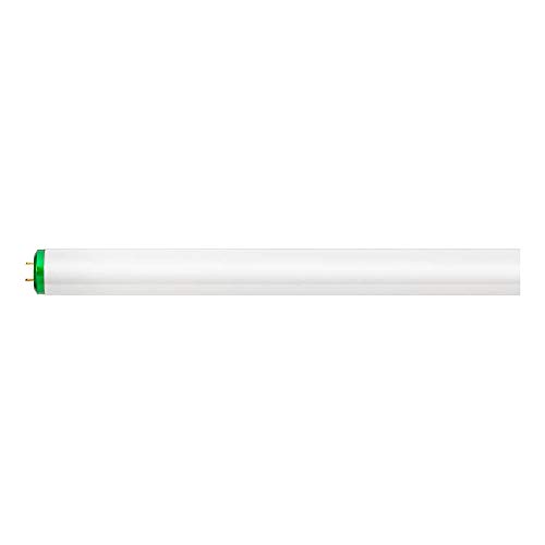 Philips Daylight Deluxe Linear Fluorescent T12 Light Bulb: 4-Foot, 2325 ...