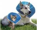 Amazon.com : Trimline Recovery Collar 30cm : Pet Supplies