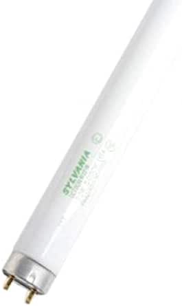 Sylvania - 21577 - FO32/841/XP/XL/ECO3 (30 pack) - Amazon.com