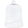 Amazon.com: Glass Cloche Bell Jar - Plant Terrarium - Centerpiece Dome ...