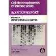 Gel Electrophoresis of Nucleic Acids: A Practical Approach : Rickwood ...