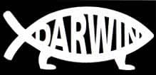 Amazon.com - Bumper Sticker: Darwin Fish