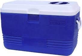 Buy Princeware Ice Box coolbox 50 Litres(12.5 Gallons). These can be ...