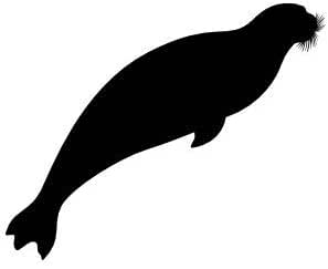 Amazon.com: Walrus Swimming - Pack of 4 - StickerVinyl Waterproof ...